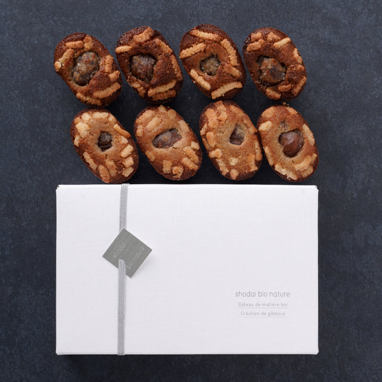 新潟伊勢丹【Circle DANRO POPUP】期間限定出店のお知らせ – shodai bio nature